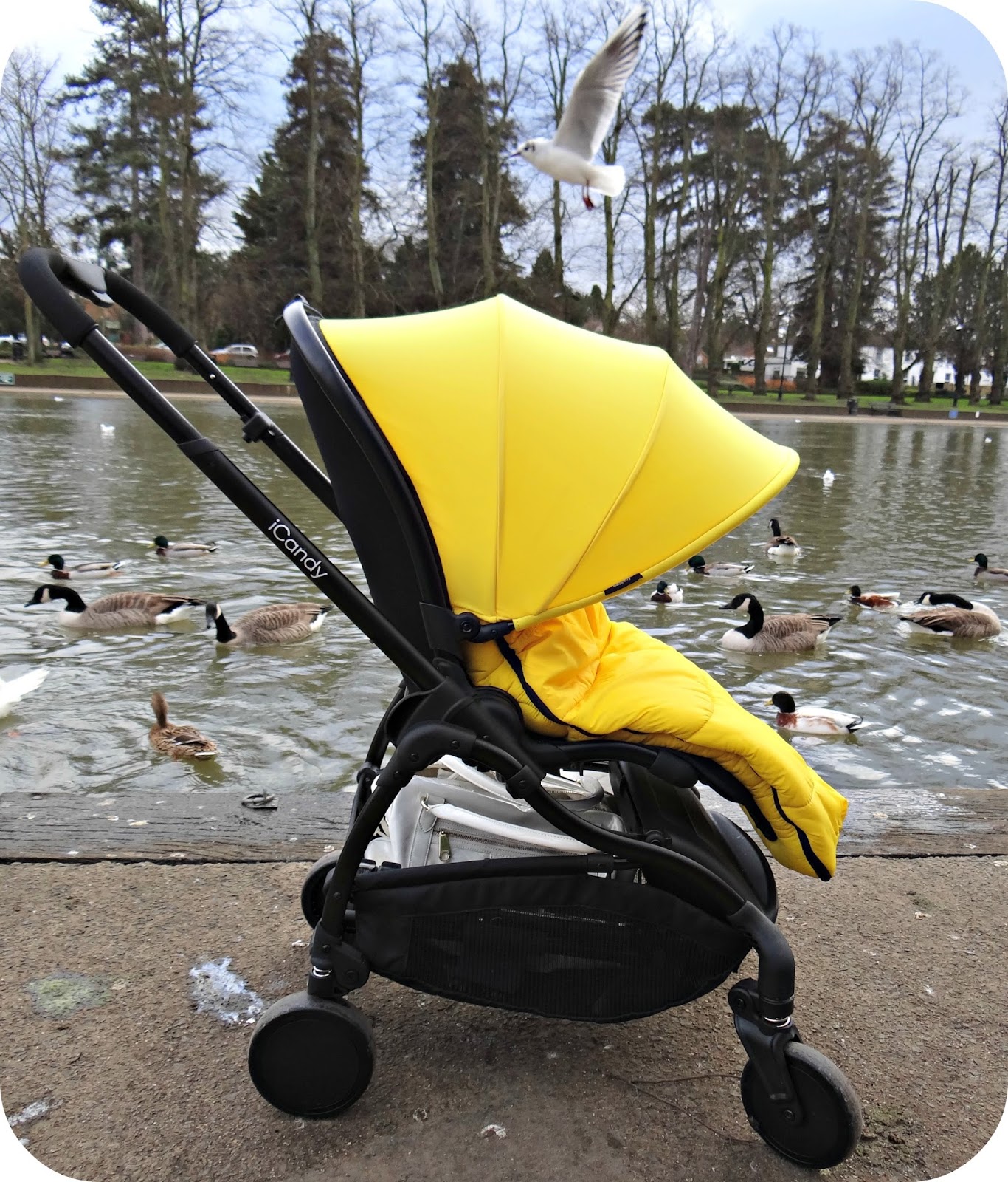 Life Unexpected: The iCandy Raspberry Review