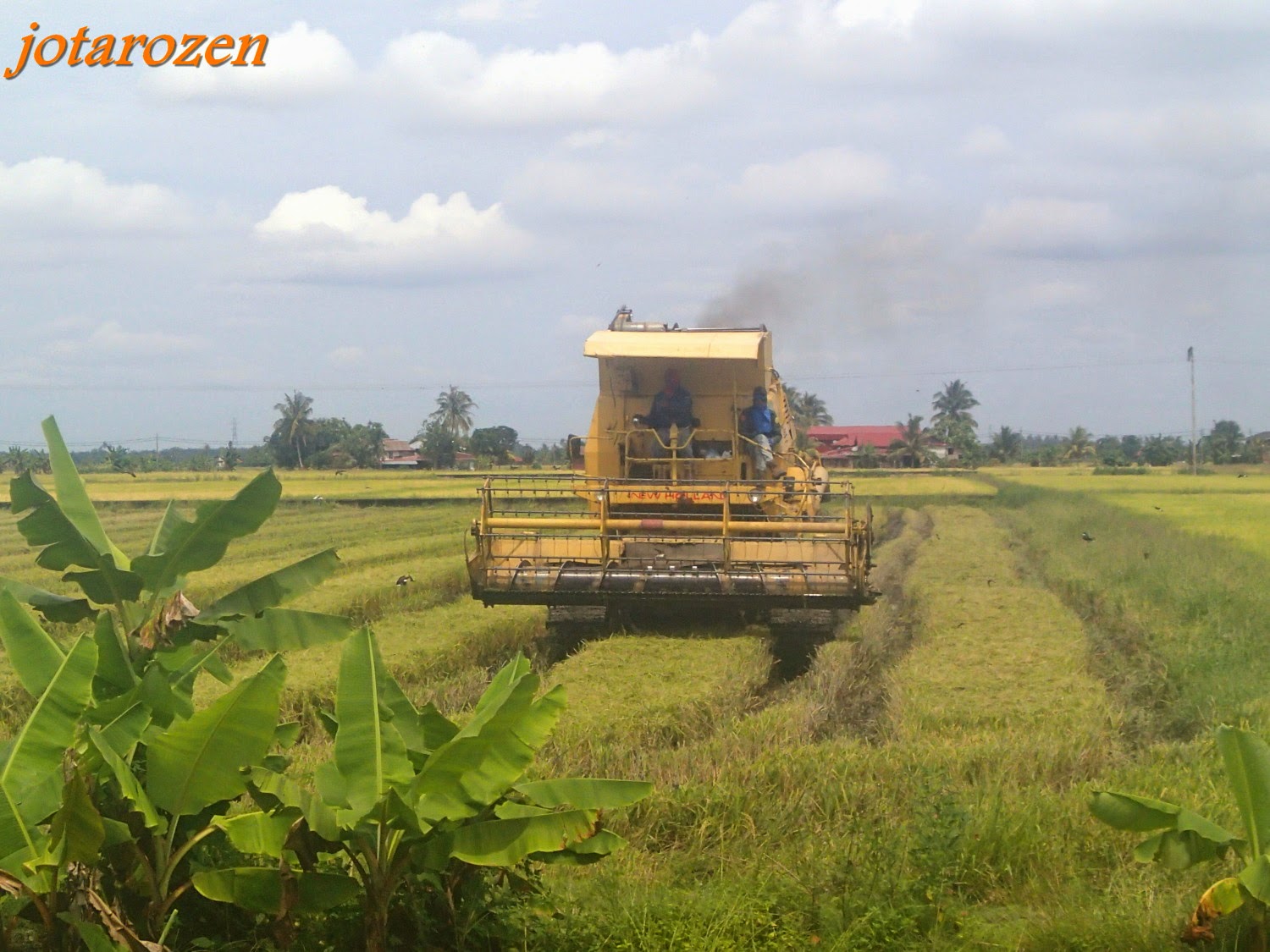 Footsteps - Jotaro's Travels: Gallery : Scenic Sekinchan Padi Fields