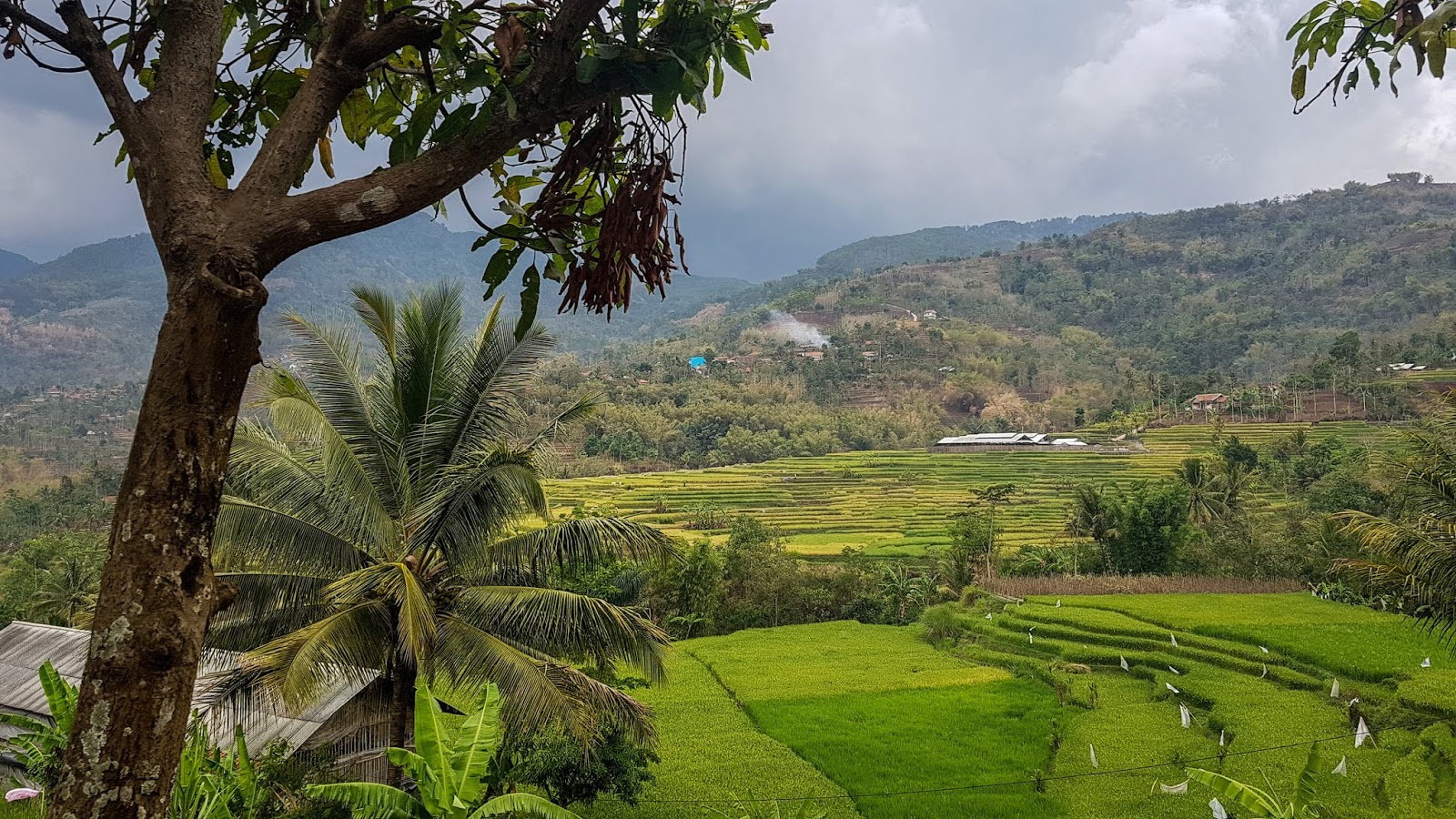 Menikmati Suasana Pedesaan Bernuansa Sunda di Kampung Sampireun