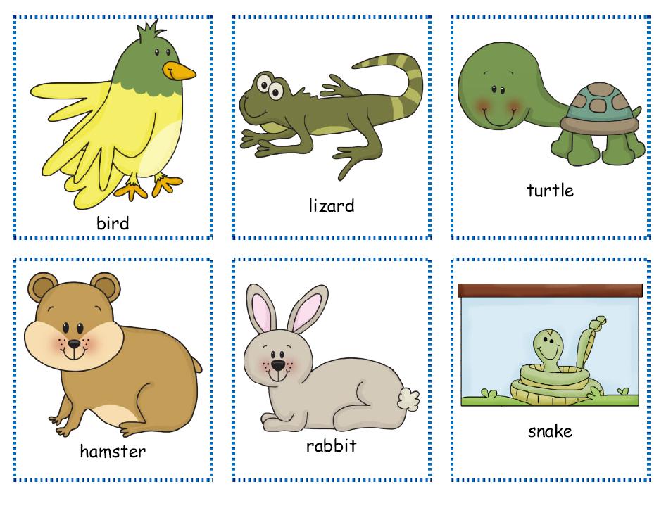 Learning and Teaching With Preschoolers: Pet Shop Go Fish Card Game