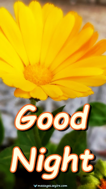 Good Night Images, Yellow flowers - Happy Birthday - HBDAY.ART