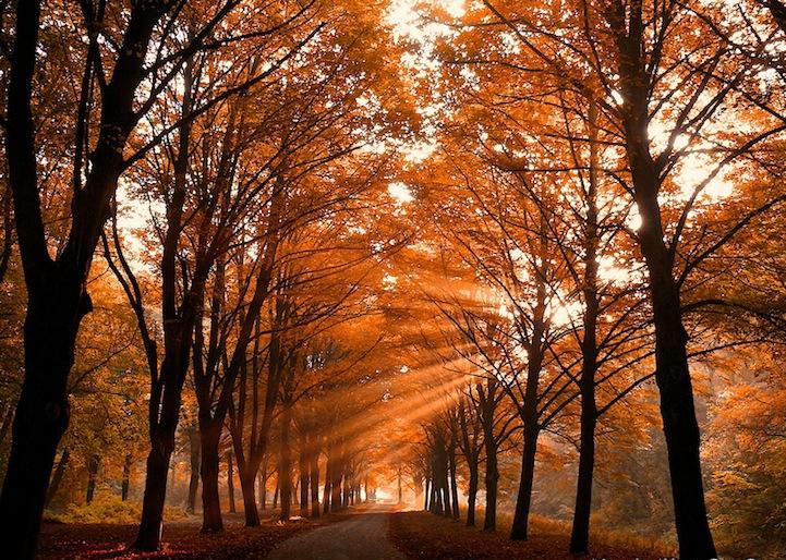 Zikaria Wallpepar: Nachural Wallpapers top 2011