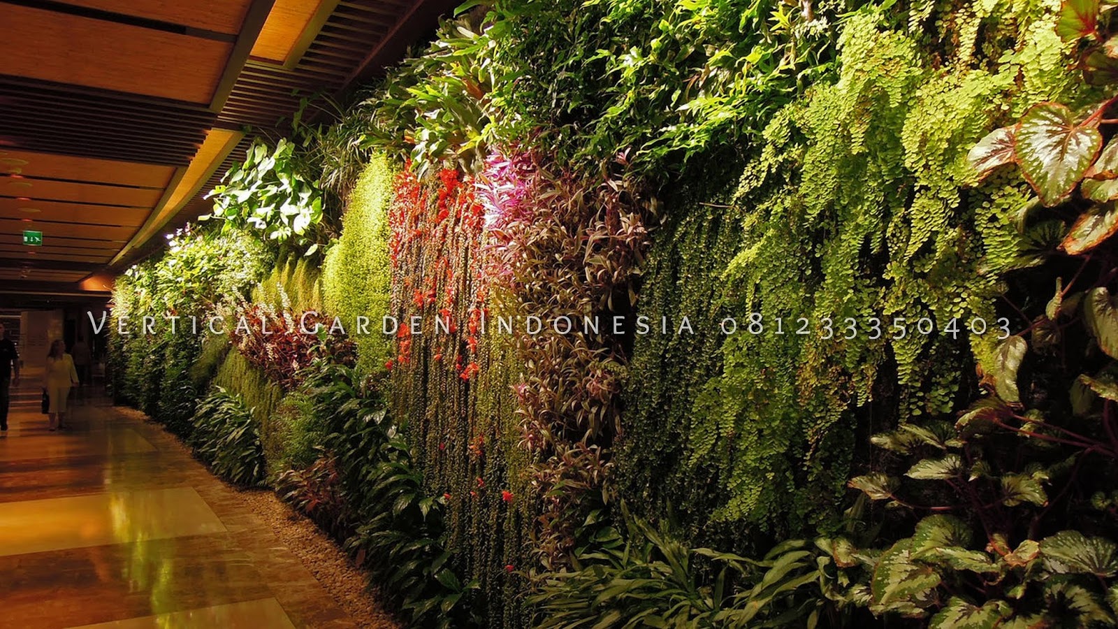 Jasa Pembuatan Taman Vertical (Vertical Garden) Di Bogor Dan Sekitarnya ...