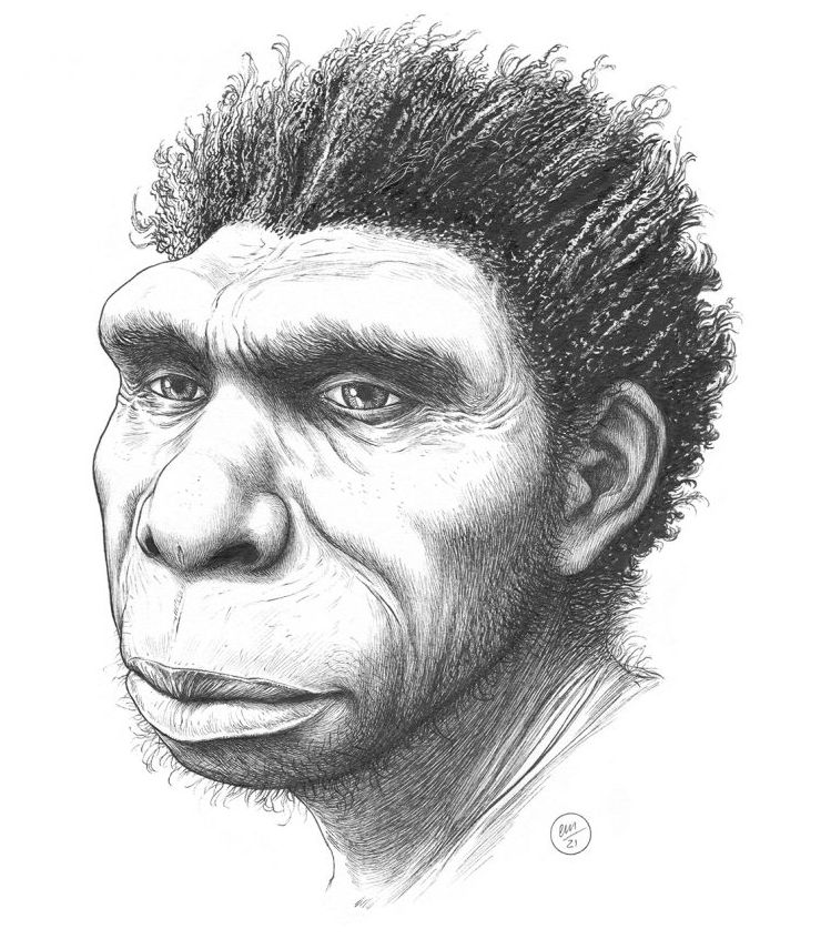 Rosa Rubicondior: Evolution News - A Newly-Named Species of Archaic ...