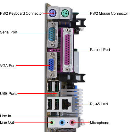 Jenis Port Rear Panel dan Tipe Bus - Blog Tutorial