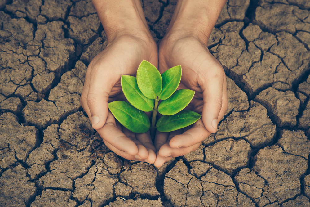 Simple Ways To Save The Environment