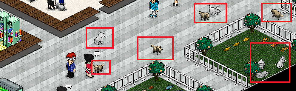 As viciadas do habbo: Animais no habbo biz ? :0