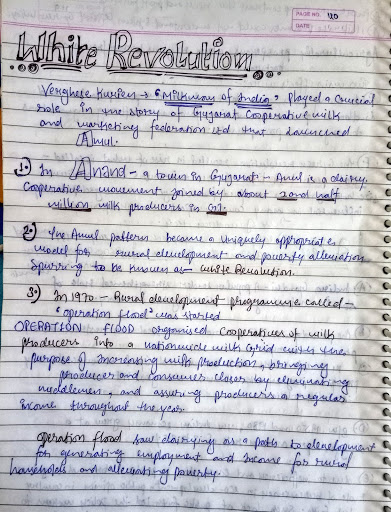 Handwritten notes of Politics in Planned Development - Political ...