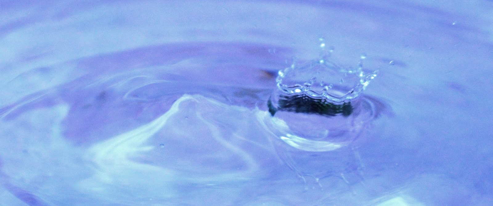 Unit 1 Photography: Fast Shutter Speed