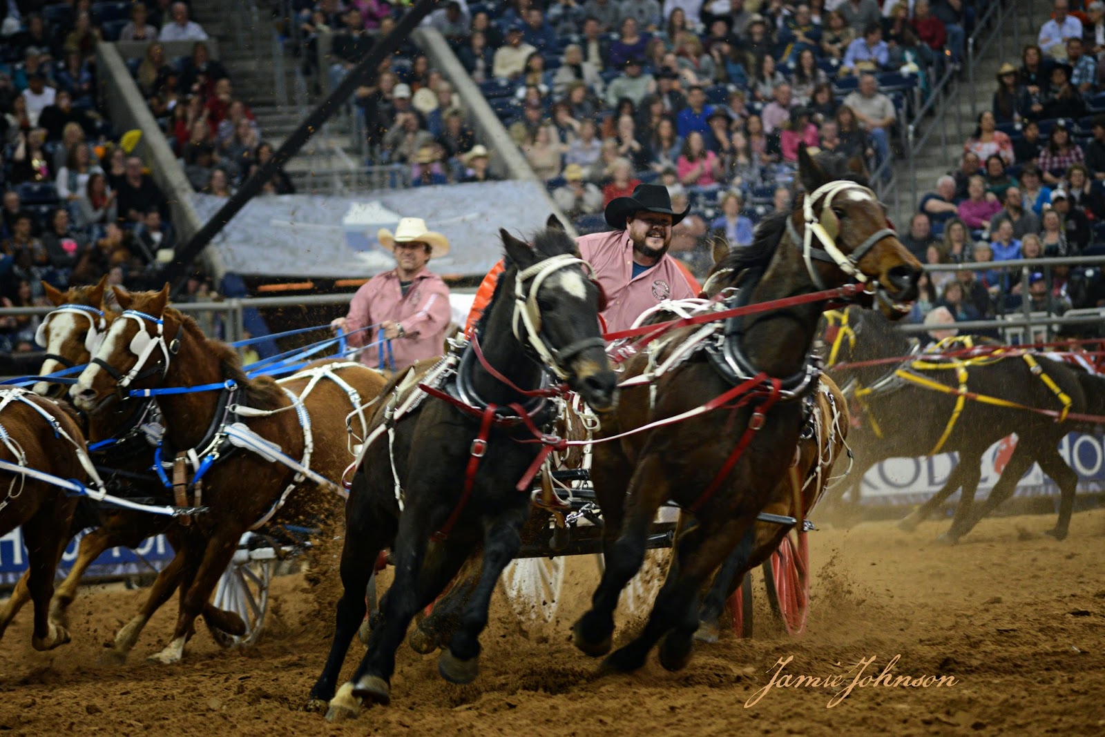 JAMIE JOHNSON -Photographer: Humble Kingwood Houston Dallas TX Cowboy ...