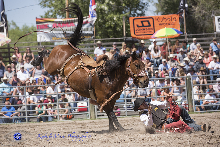 Kimberly Minter Photography: Augusta Rodeo-Montana