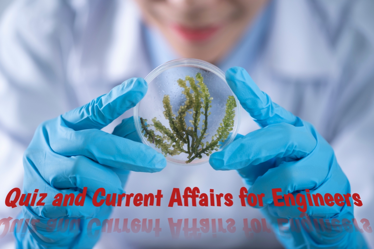Engineering Chemistry Quiz With Answers Melting Point And Boiling Point engineering-chemistry-quiz-with-answers-melting-point-and-boiling-point