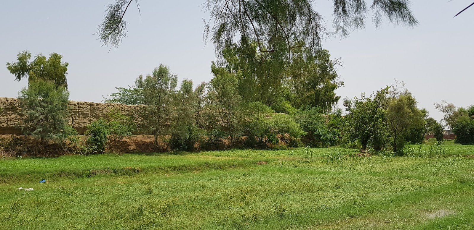 Pakistan Geotagging: 098 - Nawab Sar Buland Khan And His Fort At Mankera