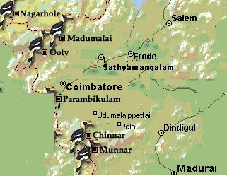 Tiger Snarl: Kongu land to Tiger land