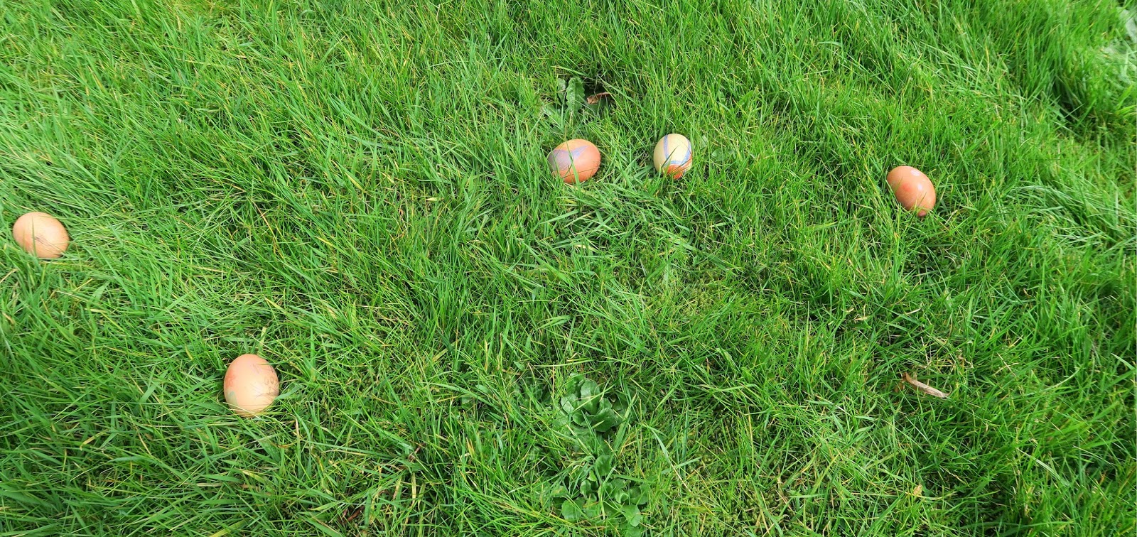 Egg Rolling at Easter