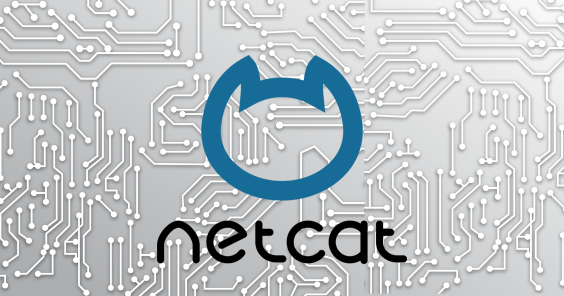 Cyber Hacks: Hacking with Netcat