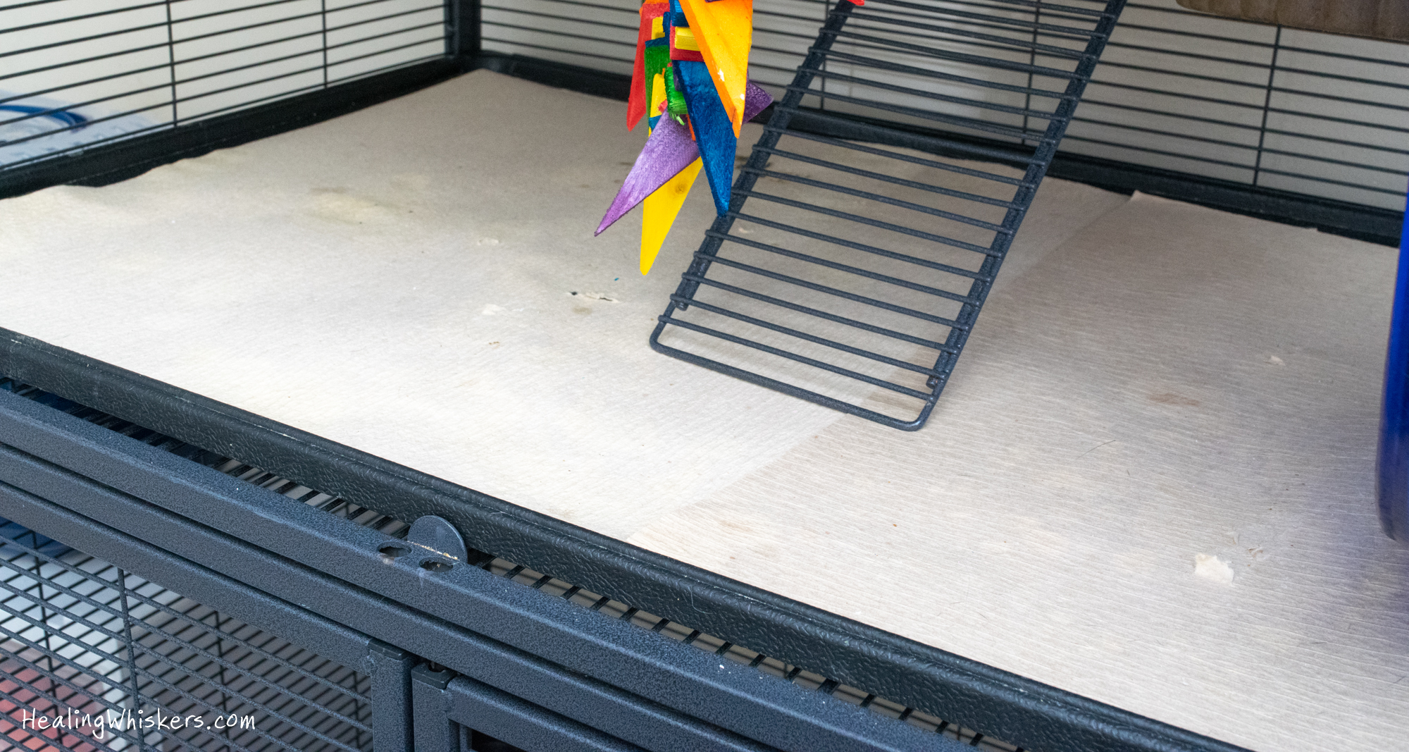 Healing Whiskers: Review: How to Keep Your Rat's Cage Smelling Fresh ...