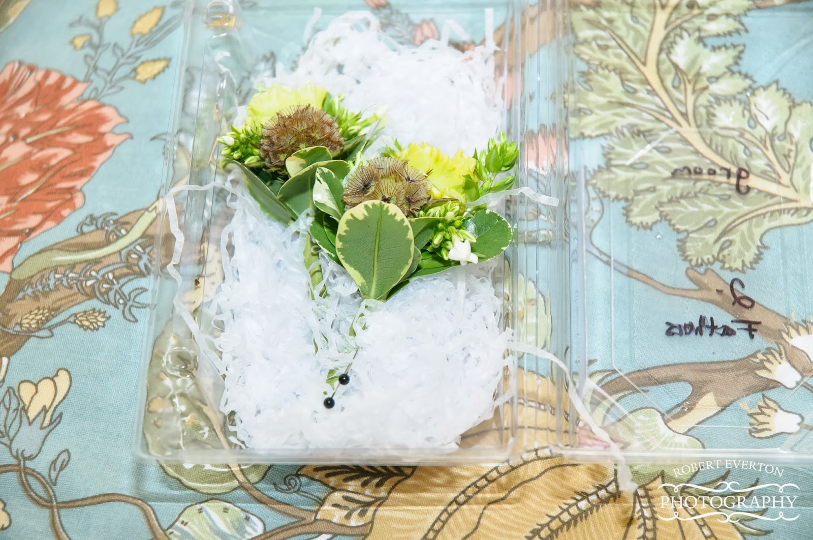 Robert Everton Photography: Cameron + Maureen