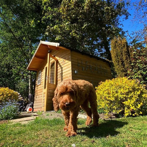 Dan Walker Wife Sarah Walker: Family Bio