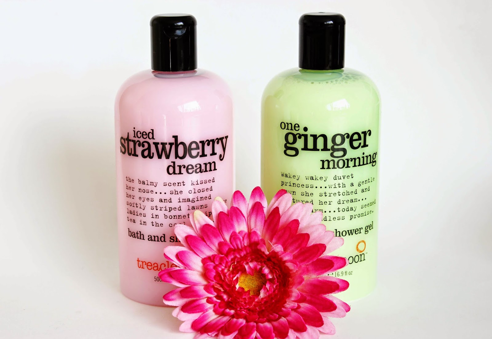 Budgetbeauty | Treacle Moon Bath and Shower Gel - The Budget Life ...