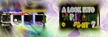 Area-1255 Portal 2: Benefits of a 5-HT7 Agonist VS 5-HT7 Antagonist ...