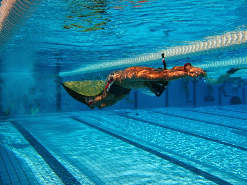 Crack Crawl : Principios Físicos en Natación