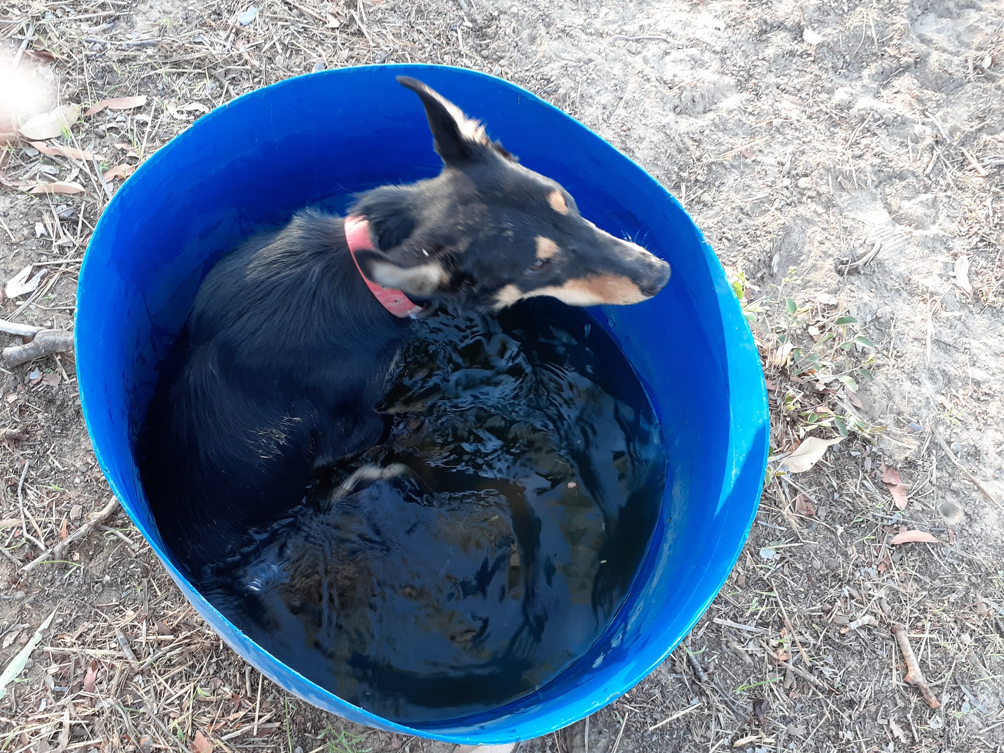 Off Grid in the Tropics