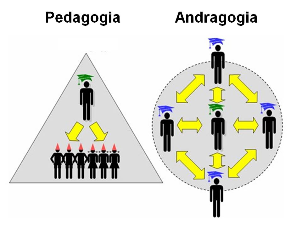 Ensinanças e Aprendizagens: Conceitos de Andragogia e Pedagogia