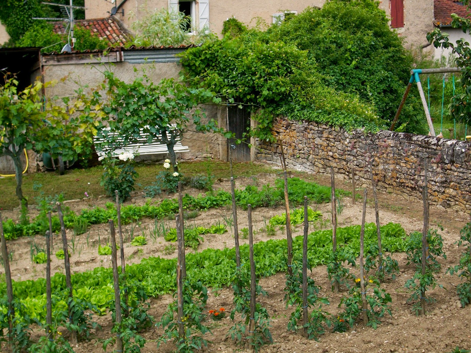 Sally Tharpe Rowles ... between here & there: Le Potager