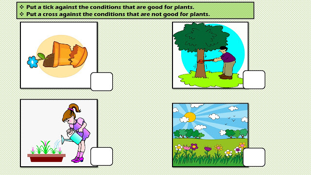 "Let's Plant Our Green Friends"- Lesson plan and interactive activities.