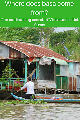 The Travelling Lindfields: Where Does Basa Fish Come From? The ...