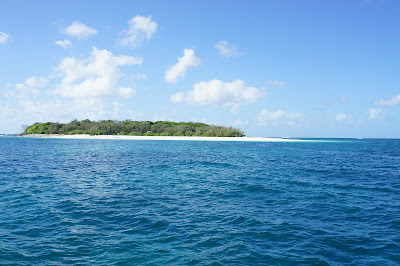 Around the world with Rebecca: Wilson Island, Great Barrier Reef ...