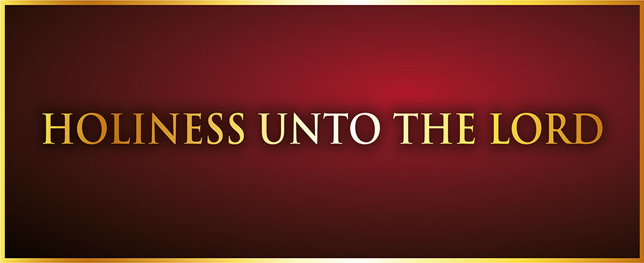 VIA SALUTIS - The Way of Salvation: A HOLINESS VOCABULARY