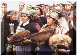 GENTE DE LA TIERRA (PUEBLO MAPUCHE): CULTURA MAPUCHE