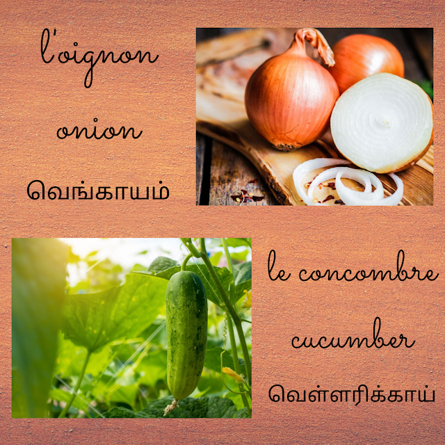 French Vocabulary – Les Legumes