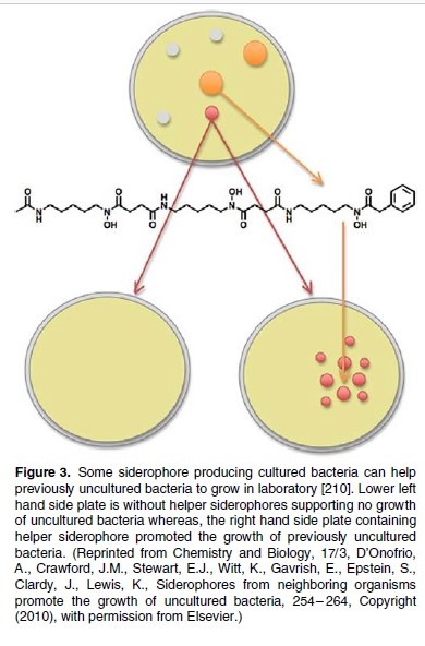 AgroBonômica: Sideróforos