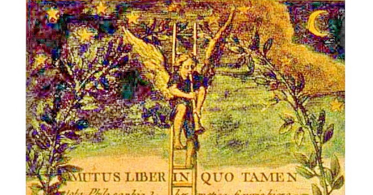 Mutus liber