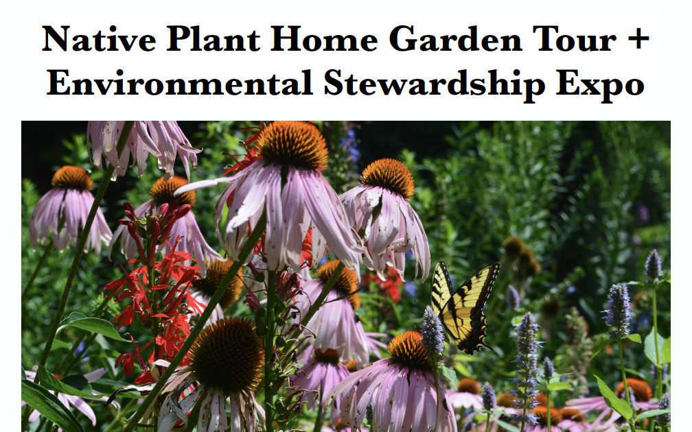 Wild Ones Twin Cities Minnesota: July Native Garden Tour