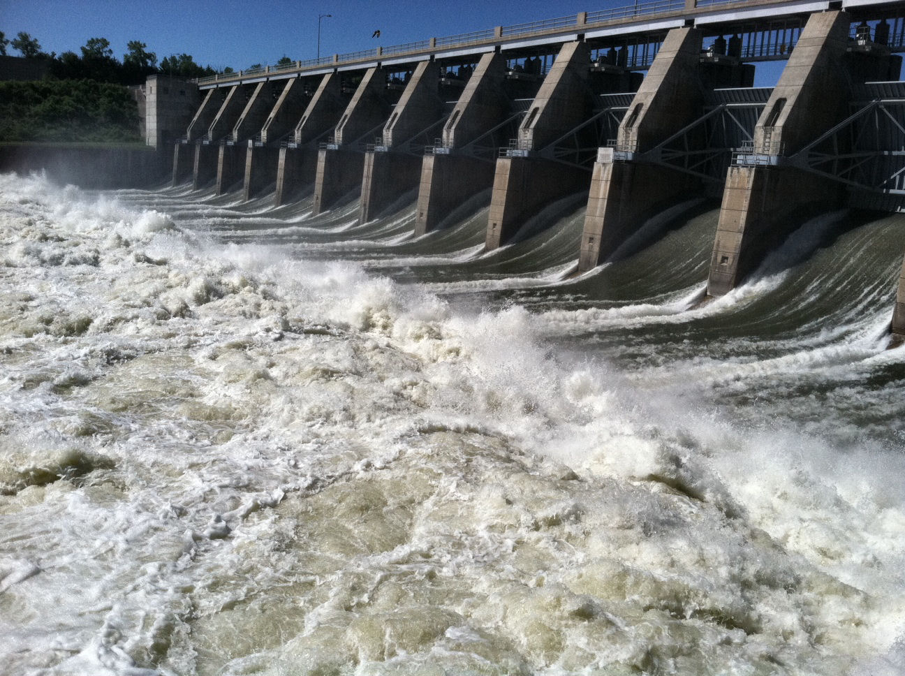 Capt. Spaulding's World: 19 June 2011