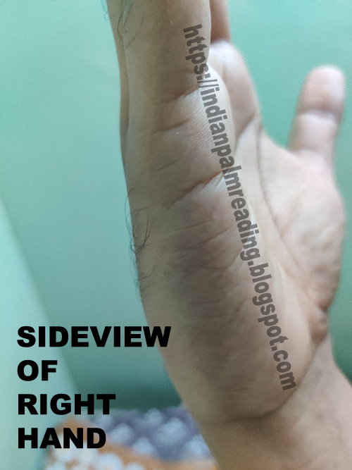 PALMISTRY SERVICE ~ INDIAN PALM READING | HAST REKHA GYAN