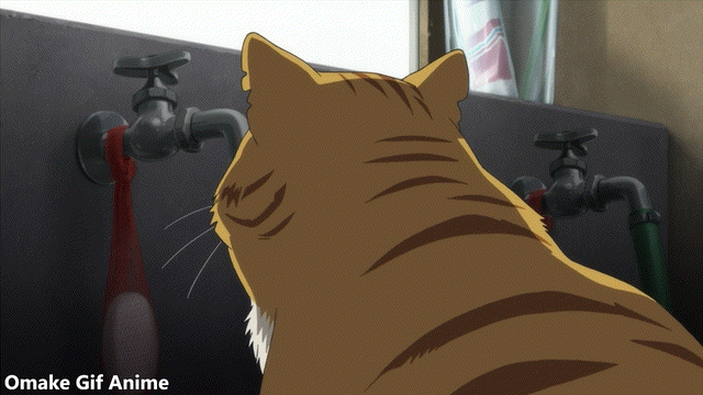 Joeschmo's Gears and Grounds: Omake Gif Anime - Fune wo Amu - OP - Tora Cat