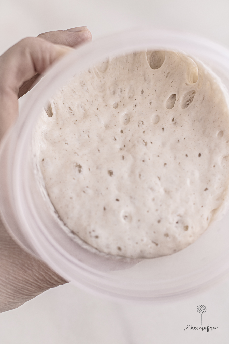 Poolish — Thermofan