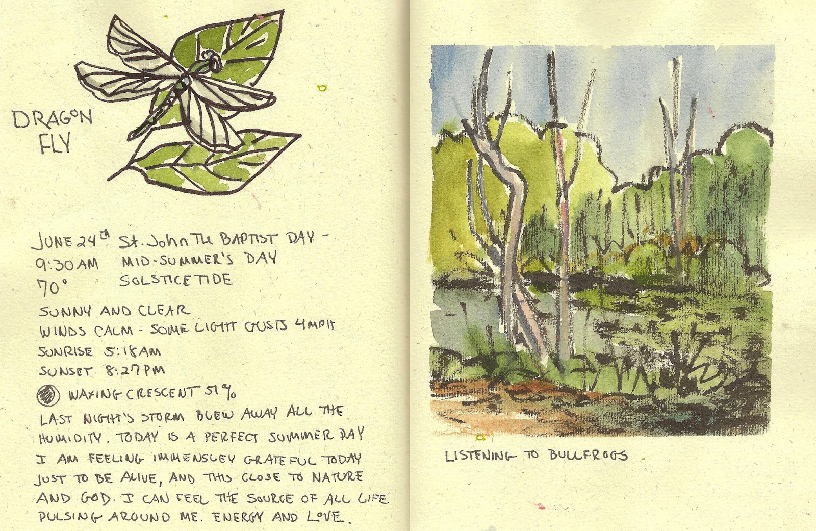 Jan Blencowe's Sketchbook Hypothesis: Nature Journal Entries - June 24 ...