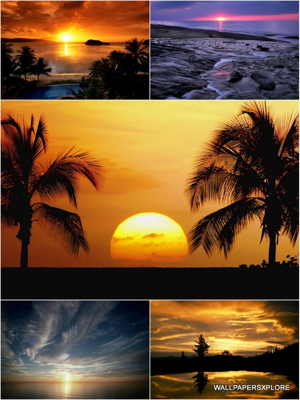 The Best Sun Set In The World