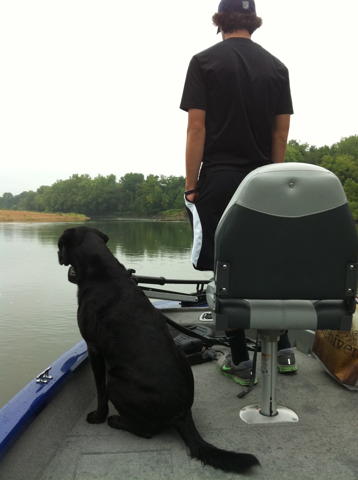 Peek at my Week plus a FREEBIE - Mrs. Wills Kindergarten