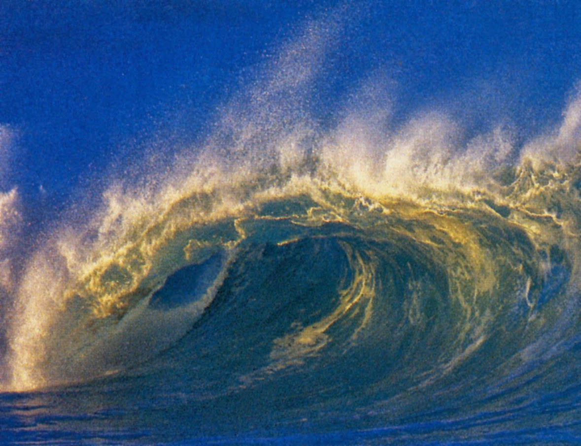 DRAGON: Octavio Paz / My Life with the Wave