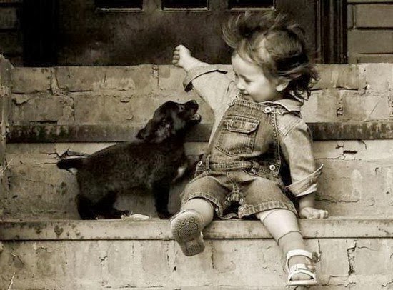 Why do people love animals ? - Animal Info