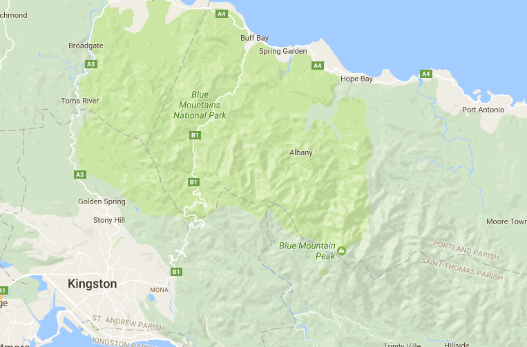 Our jamaican adventure: Blue and John Crow Mountains National Park