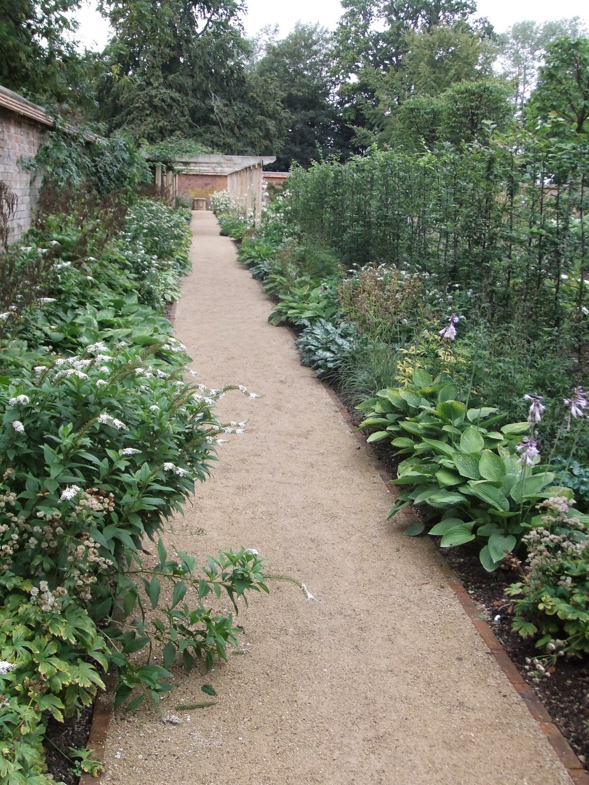 Pippa Purnell Garden Design: Planting: Refresh Your Borders