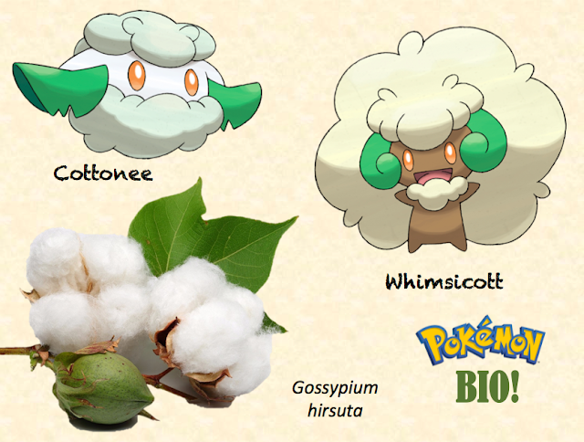 LA CIENCIA DE LA VIDA: La base biológica de los Pokémon tipo Planta